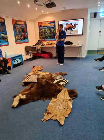 3LM and 3JB Visit Drusillas - News Blog - Saxon Mount School